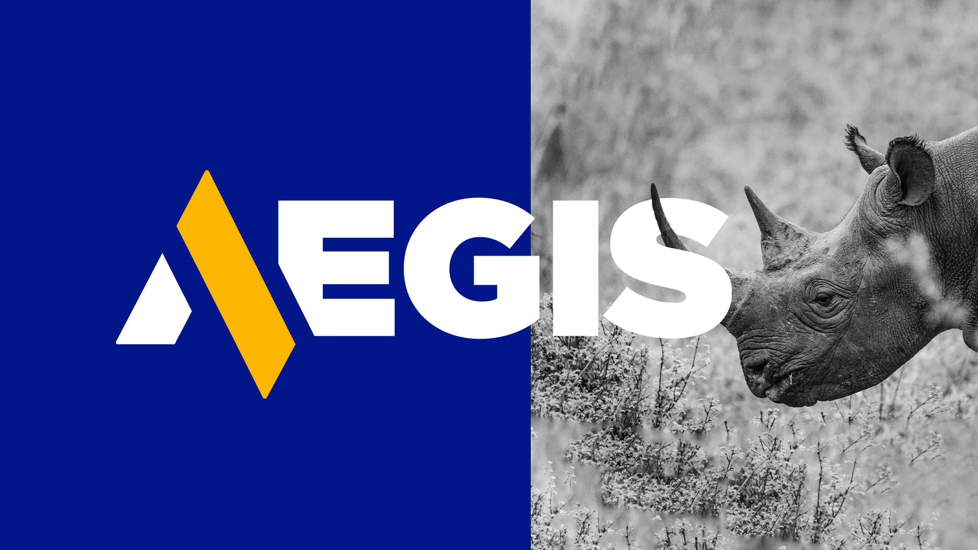Aegis Celebrates 17 Years | Aegis